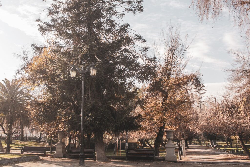 Parques em Santiago: 17 opções para colocar no seu roteiro da cidade